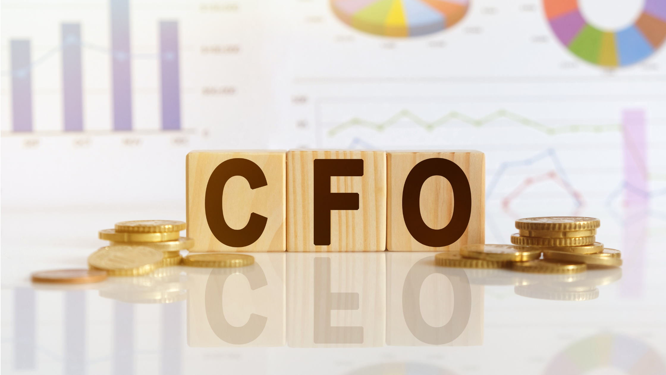 Signs Your Company Needs a Fractional CFO